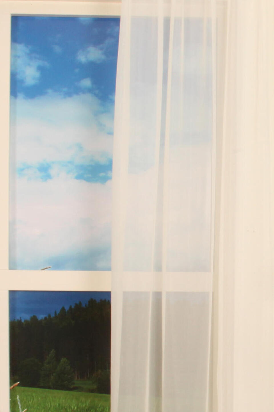 Voile champagne | Gordijnstijl.nl | De stijl die bij je past